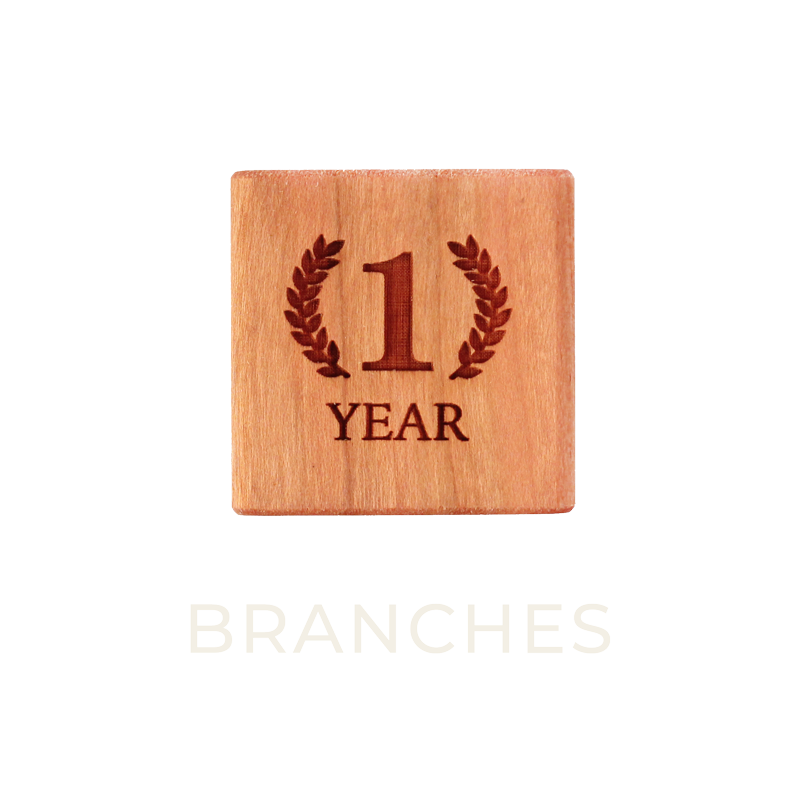 Employee Anniversary Gift - Desktop Blocks - Smiling Tree Gifts